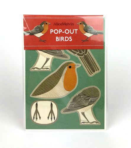 Alice Melvin Pop Out Birds Robin Greetings Card AM3020